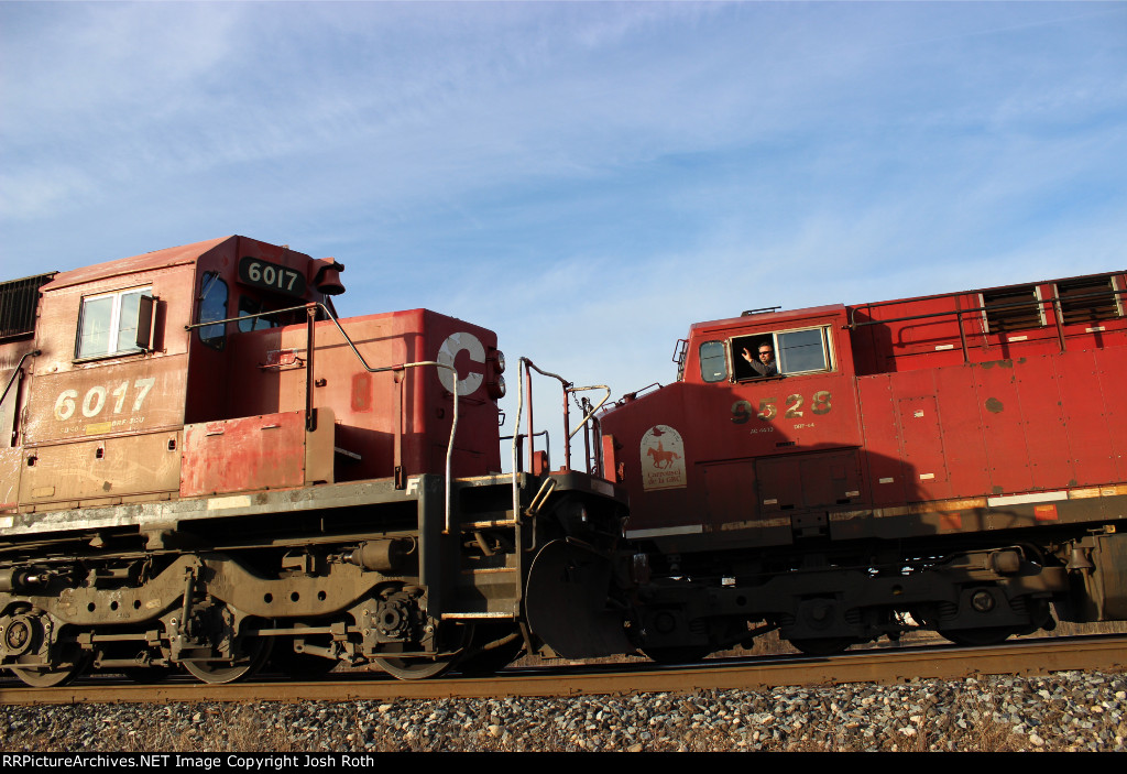 CP 6017 & CP 9528